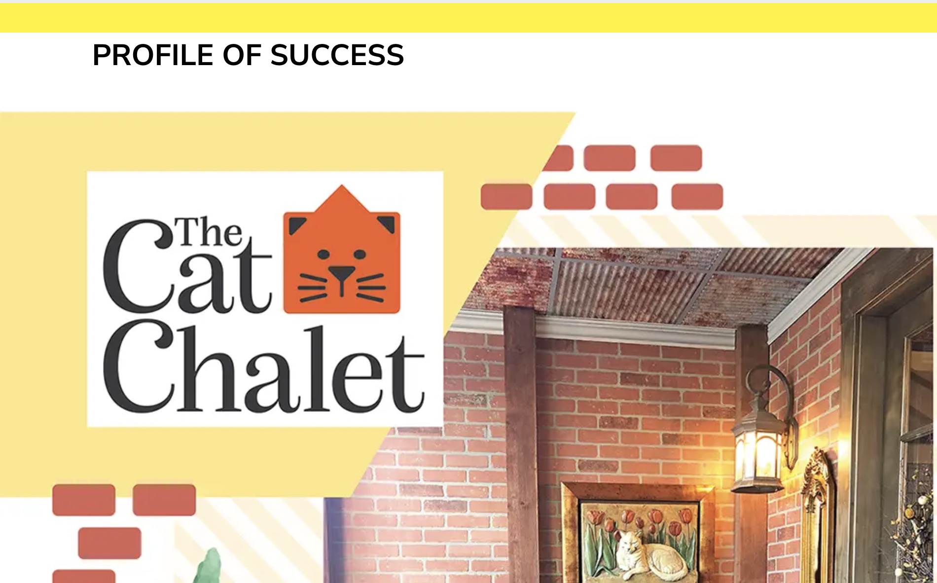 Home Page - The Cat Chalet