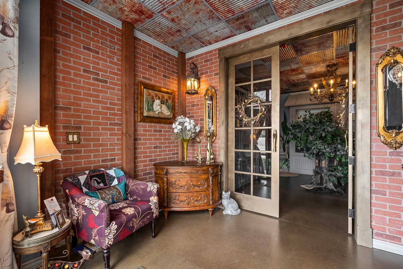 Home Page - The Cat Chalet